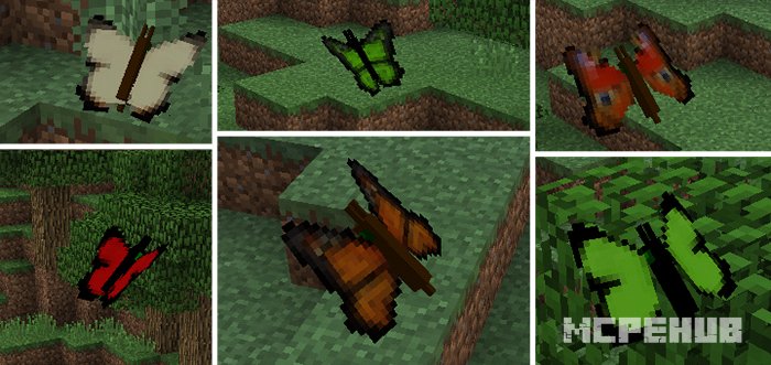 Мод Butterfly для Minecraft PE