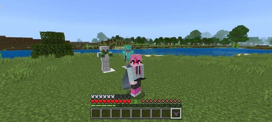 Текстуры Hide Player Armor для Minecraft